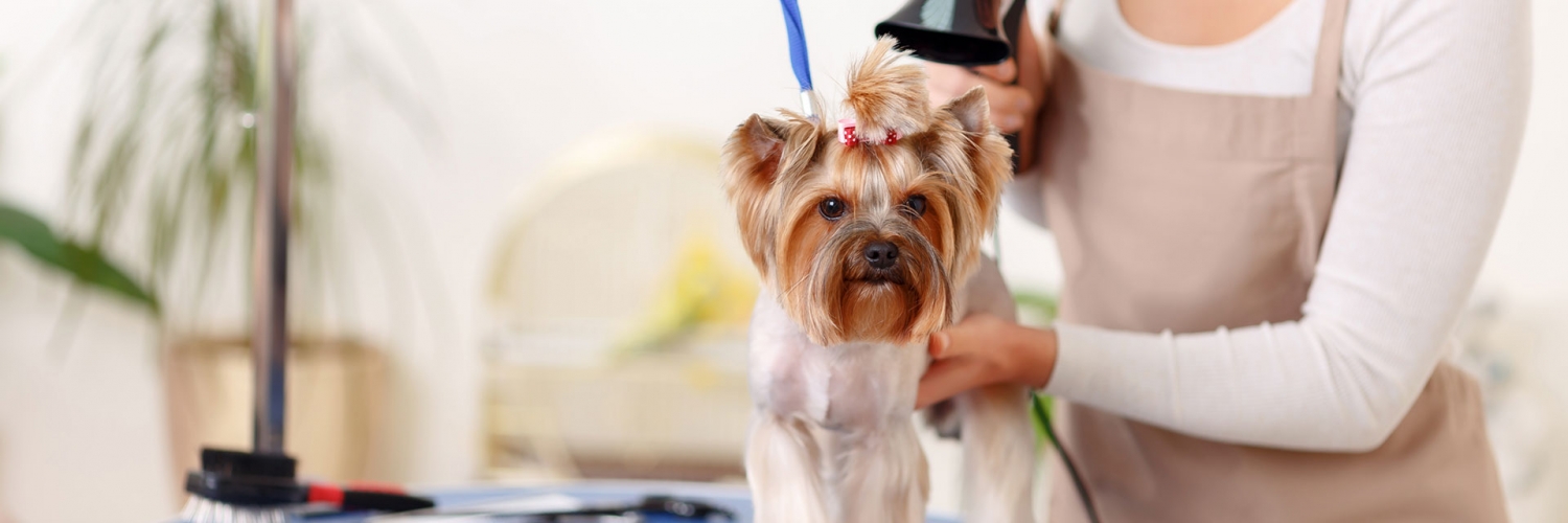 Ellie's Pet Barn - Pet Supplies & Grooming - Holden, MA